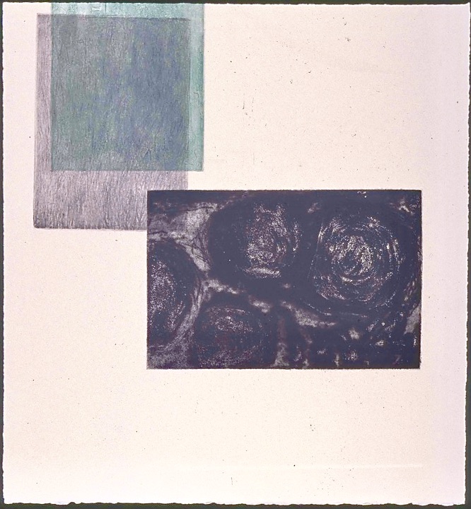 Land Field Studies | Kris Iden
